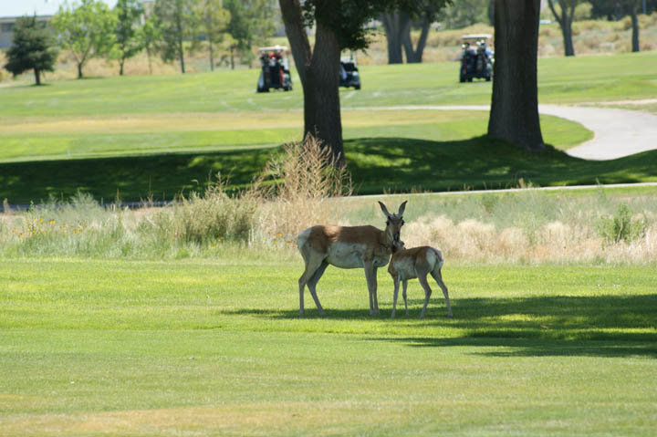Gallery - Riverview Golf Course