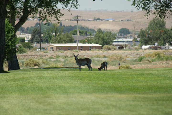 Gallery - Riverview Golf Course